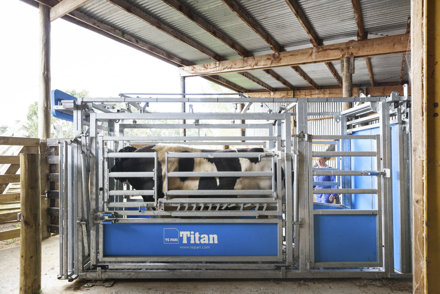 Cattle Services - Tararua Breeding Centre